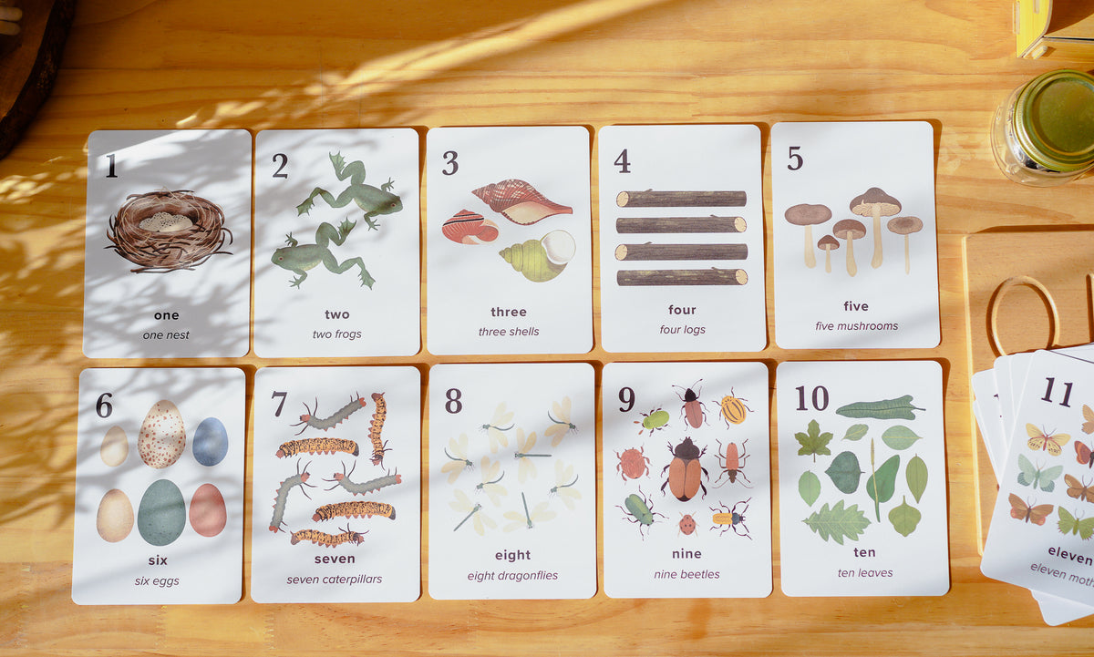 Nature Counting Cards – Mornings Together