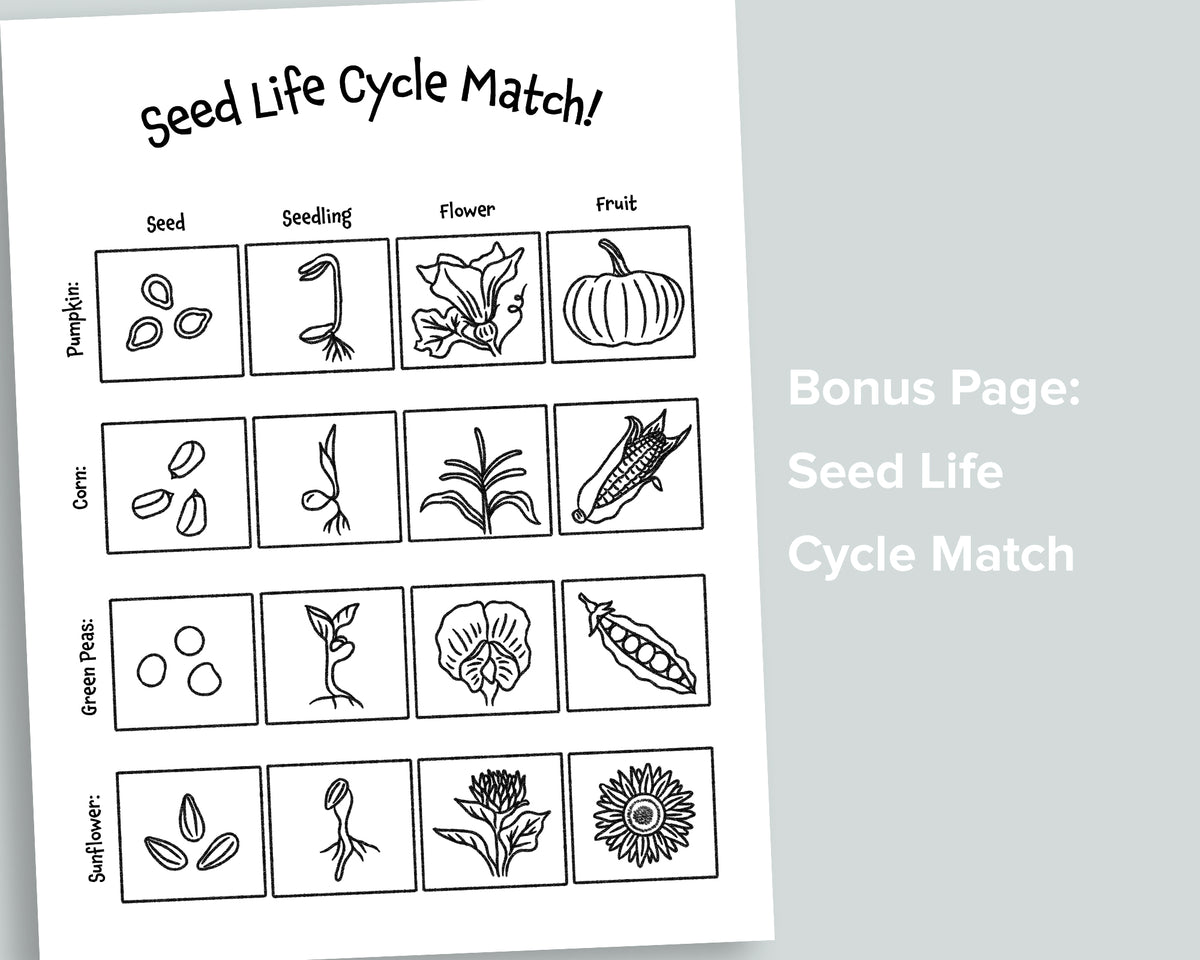 Searching for Seeds Letter Pack – Mornings Together