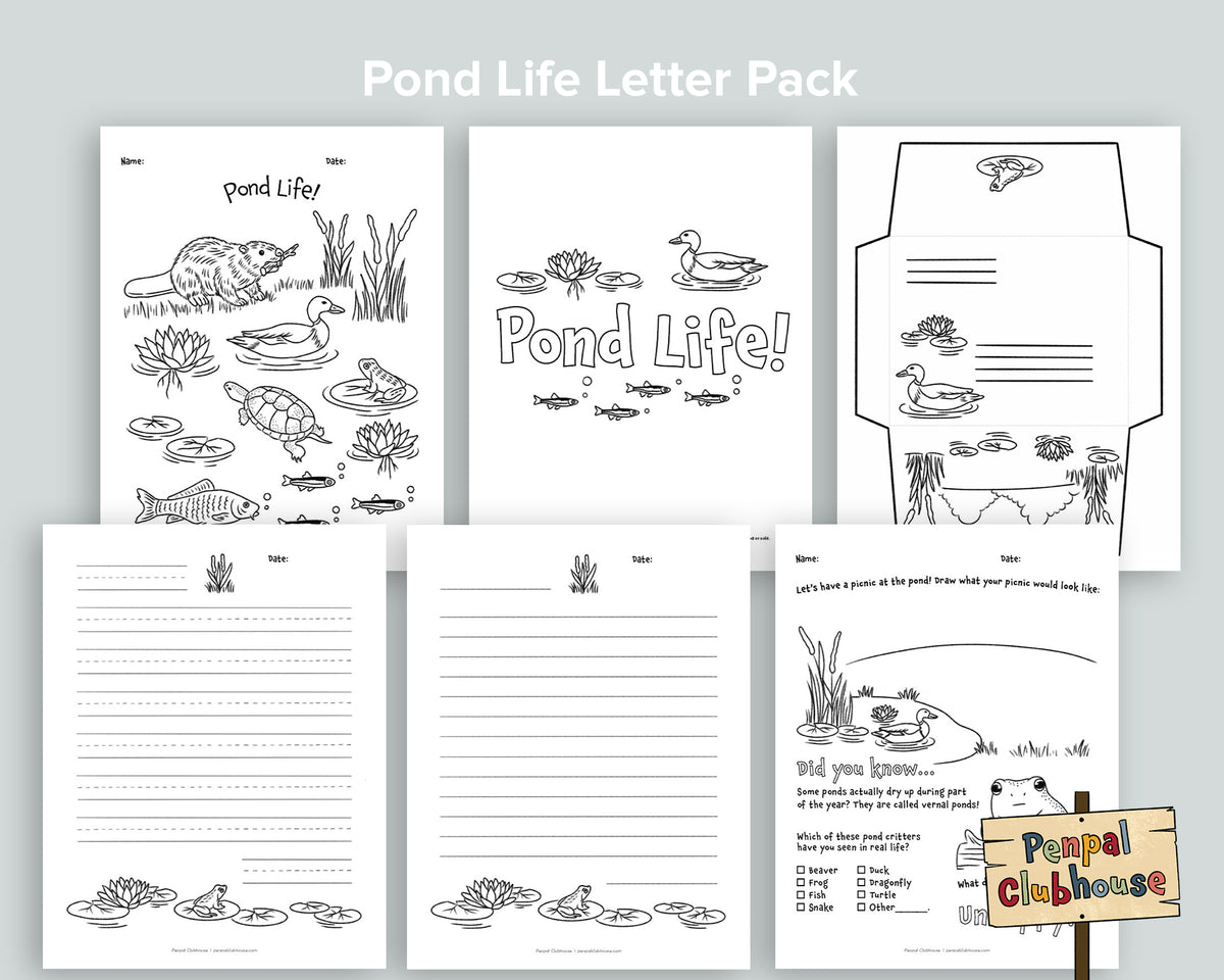 Pond Life! Letter Pack – Mornings Together