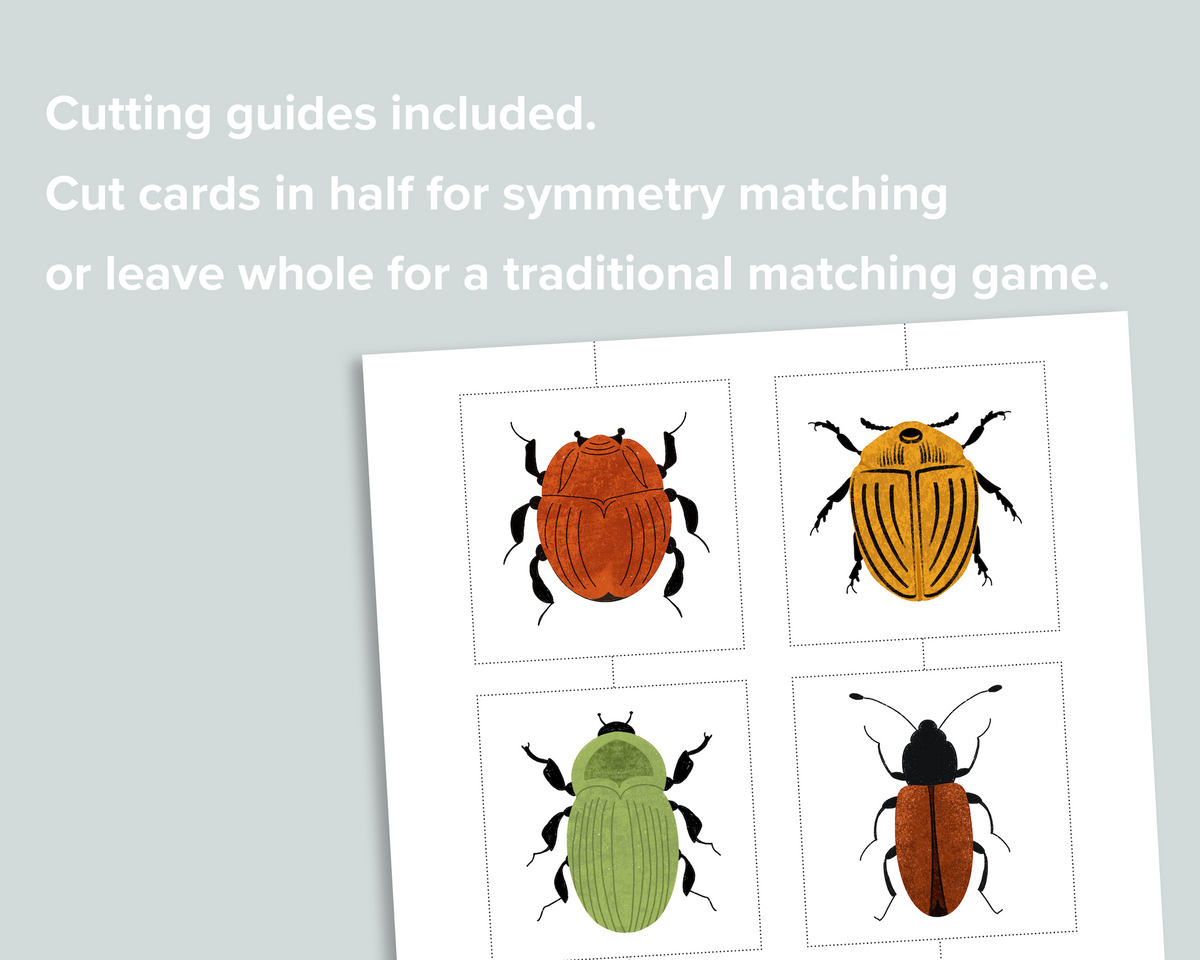 Beetle Matching Cards – Mornings Together