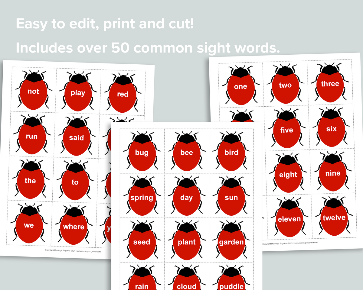 Editable Bug Sight Word Cards Freebie – Mornings Together
