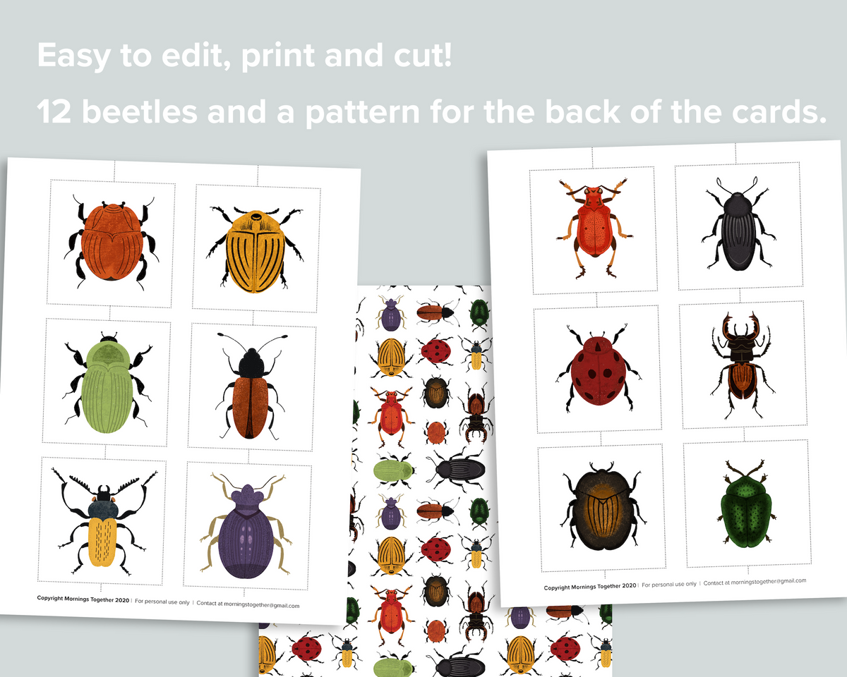 Beetle Matching Cards – Mornings Together