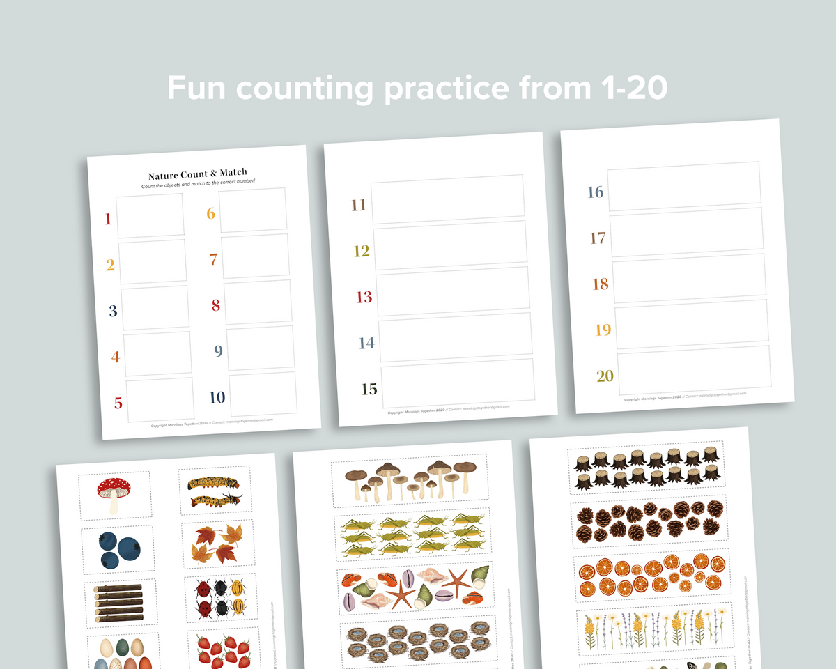 Nature 1-20 Count and Match Activity – Mornings Together
