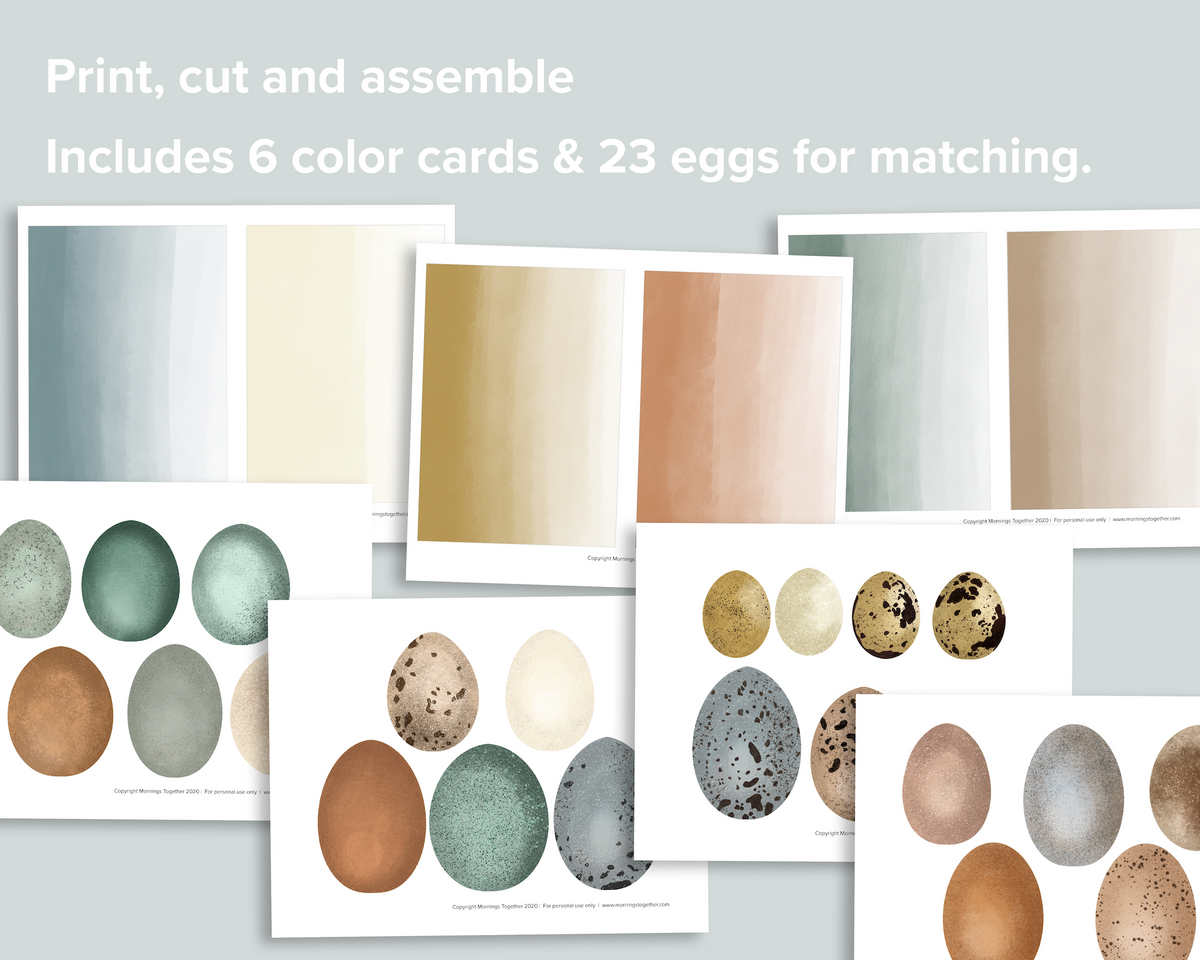 Egg Color Sort – Mornings Together