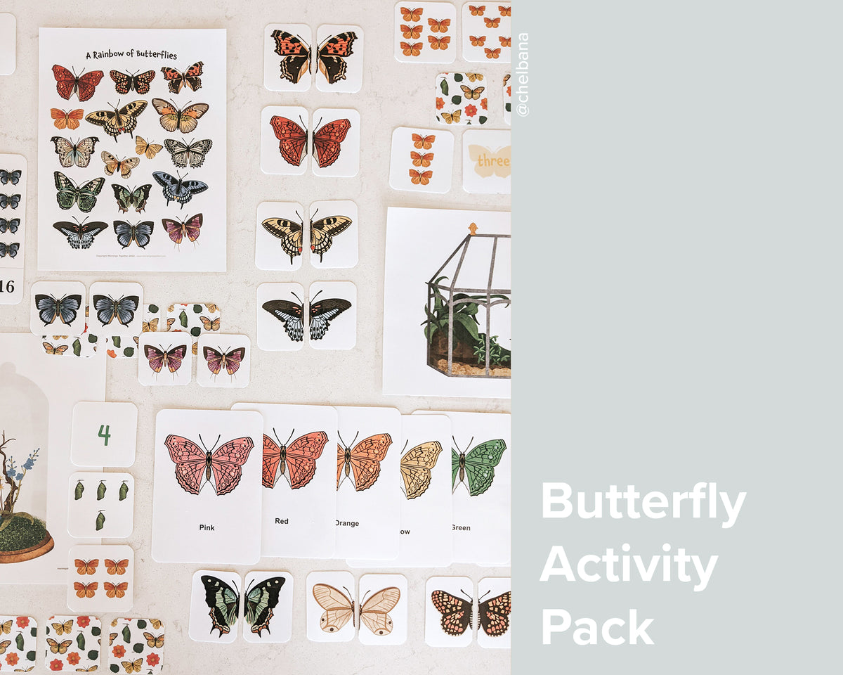 Butterfly Activity Pack – Mornings Together