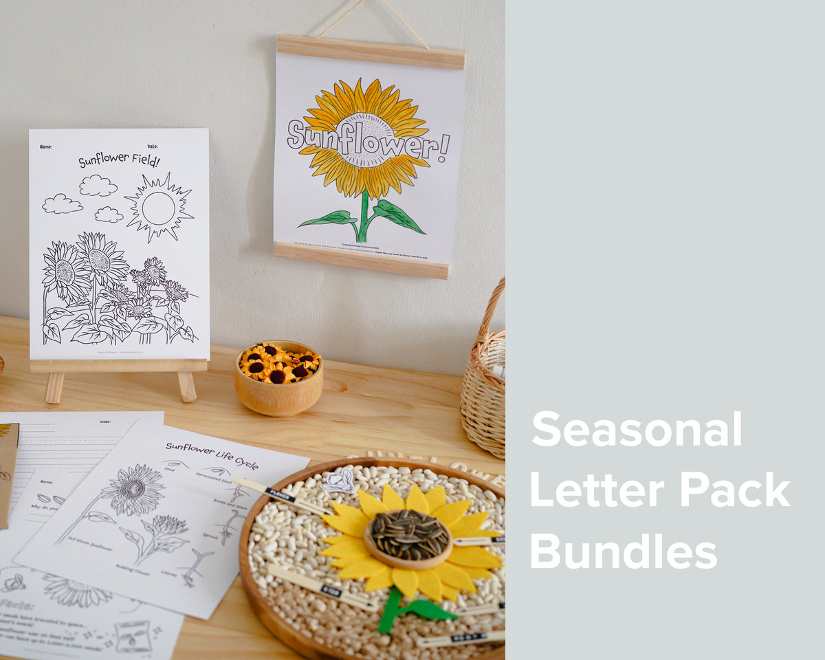 Seasonal Letter Pack Bundles – Mornings Together