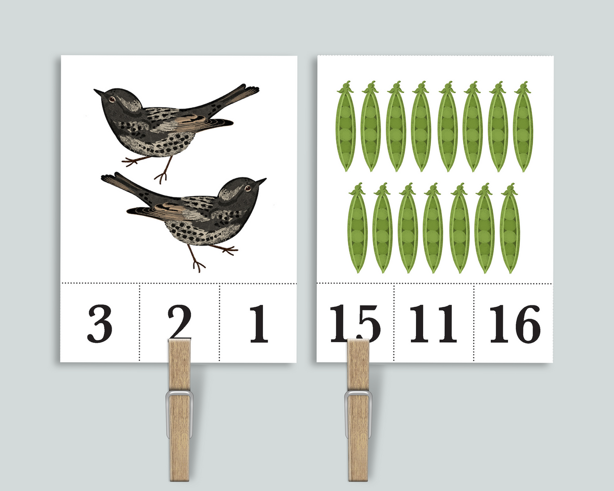 Garden Count and Clip Cards – Mornings Together