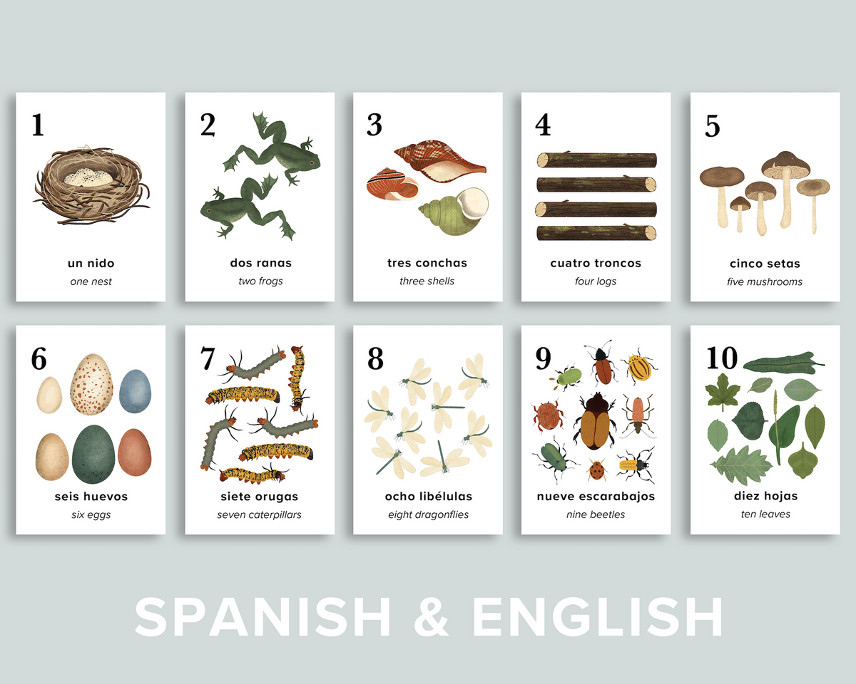 Nature Counting Cards (Spanish) – Mornings Together