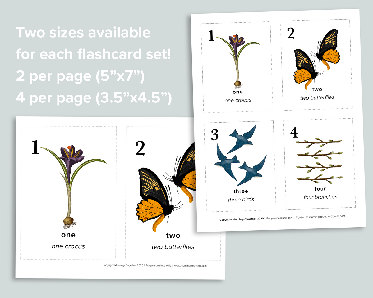 Spring Counting Cards – Mornings Together