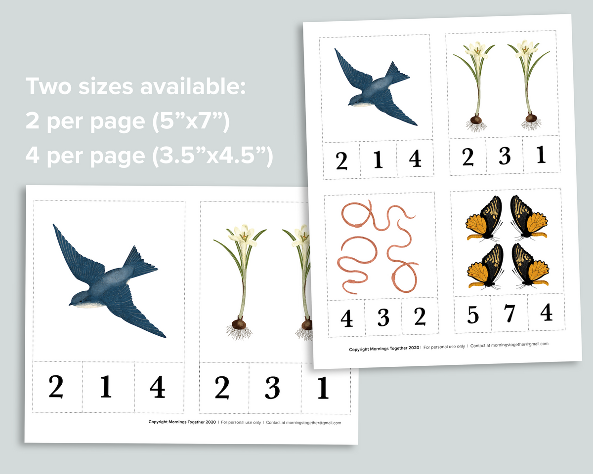 Spring Count & Clip Cards – Mornings Together