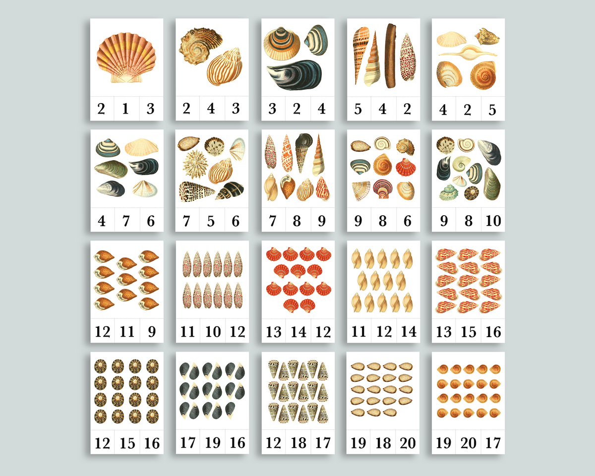 Shell Count and Clip Cards – Mornings Together