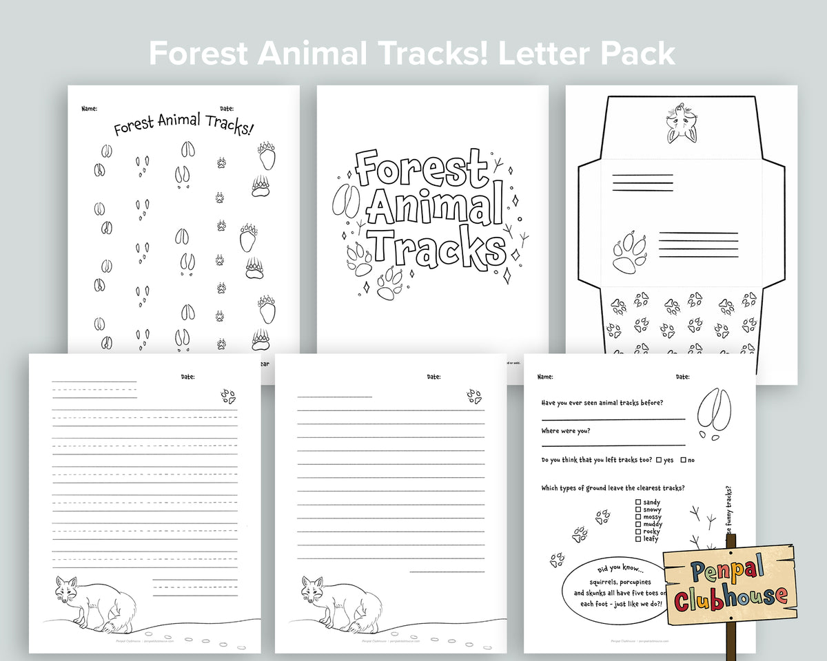 Forest Animal Tracks Letter Pack – Mornings Together