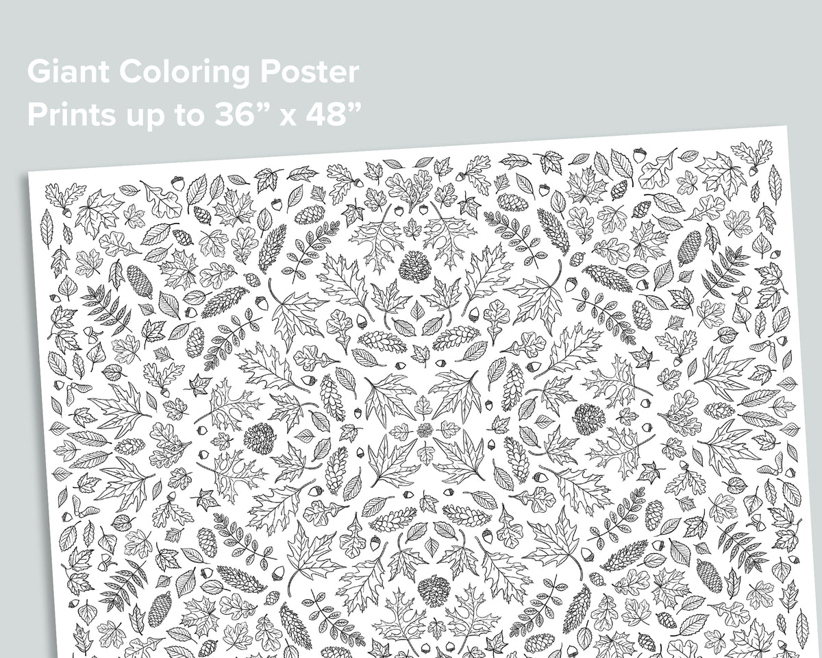Giant Autumn Coloring Poster – Mornings Together