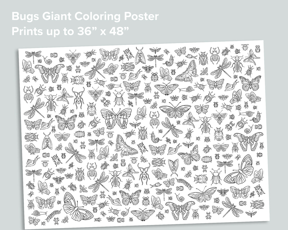 Bugs Giant Coloring Poster – Mornings Together