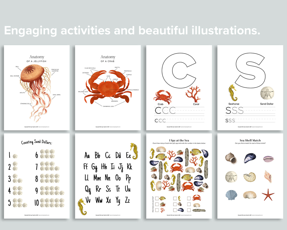 Ocean Learning Pack – Mornings Together