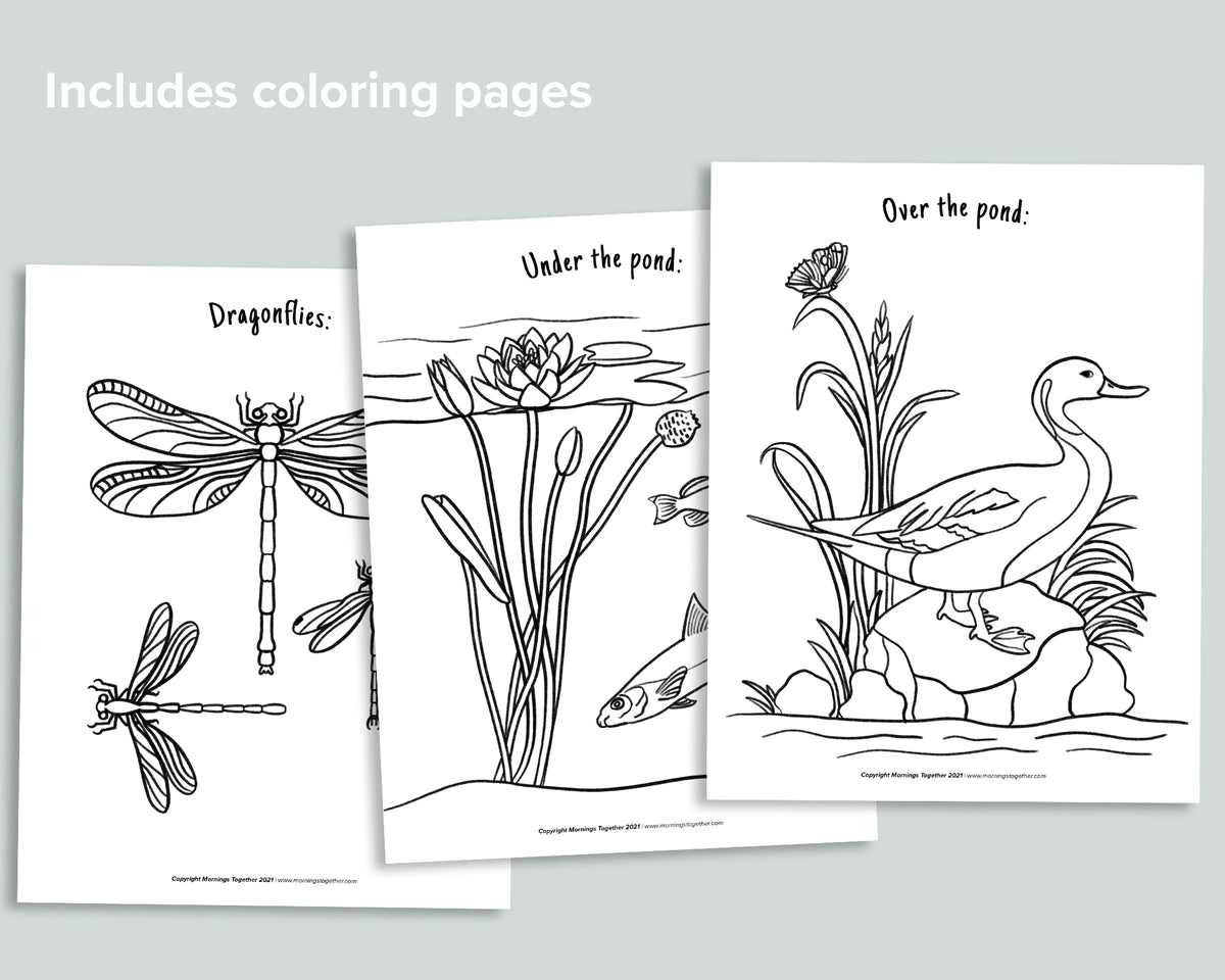 pond coloring pages free