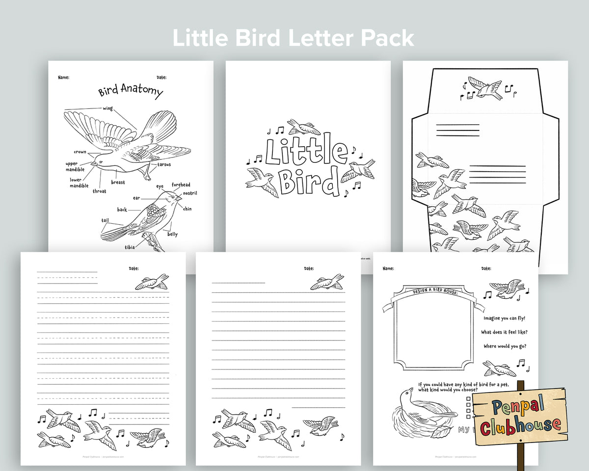 Little Bird Letter Pack – Mornings Together