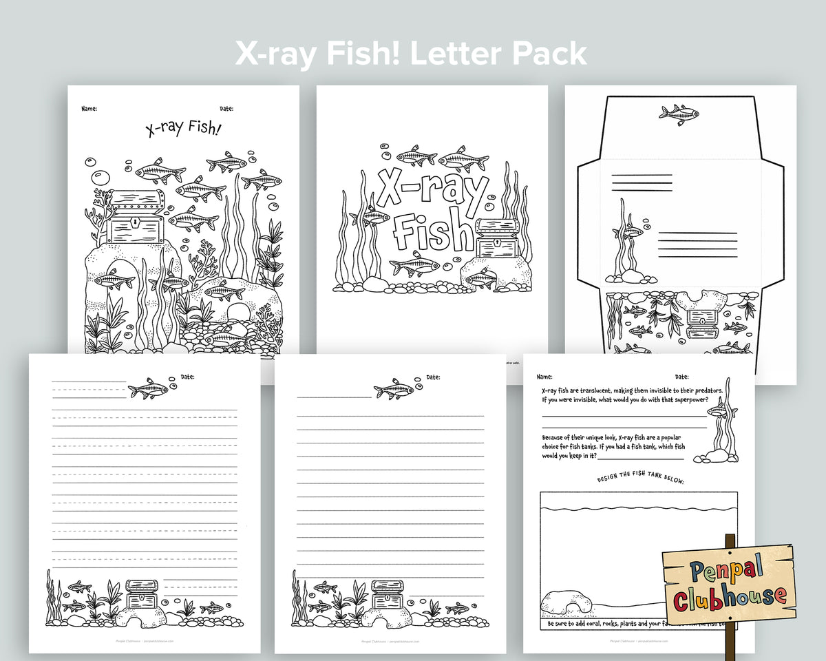 X-ray Fish Letter Pack – Mornings Together