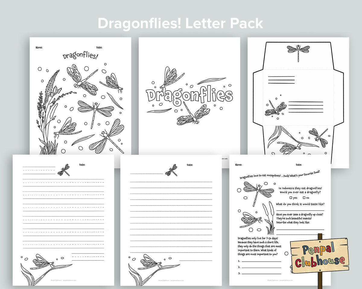 Dragonflies Letter Pack – Mornings Together