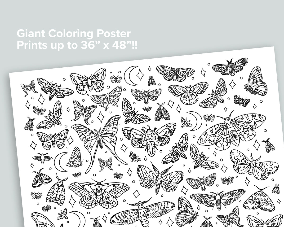 giant butterfly coloring page