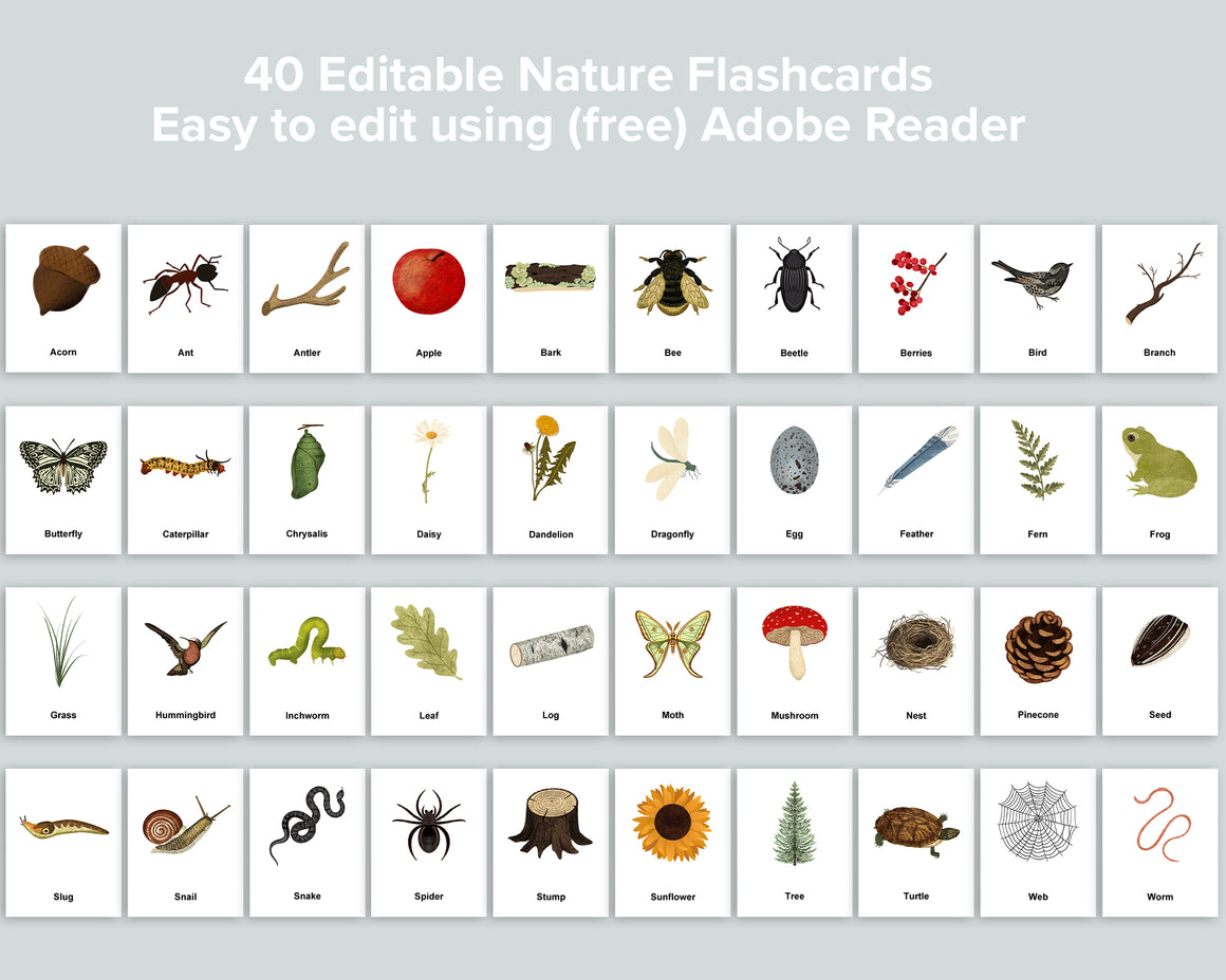Editable Nature Flashcards (Three Part Cards) – Mornings Together