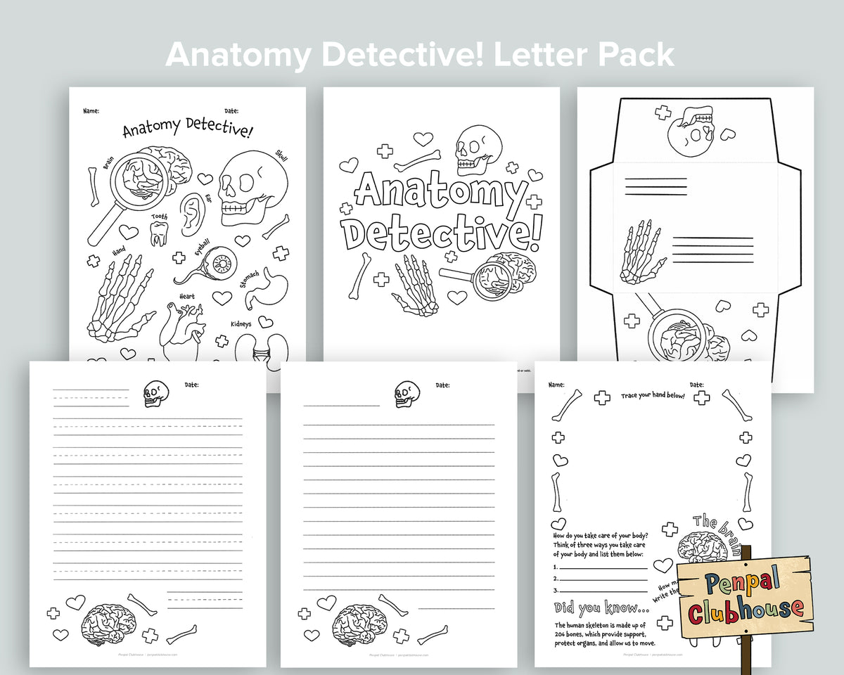 Anatomy Detective Letter Pack – Mornings Together