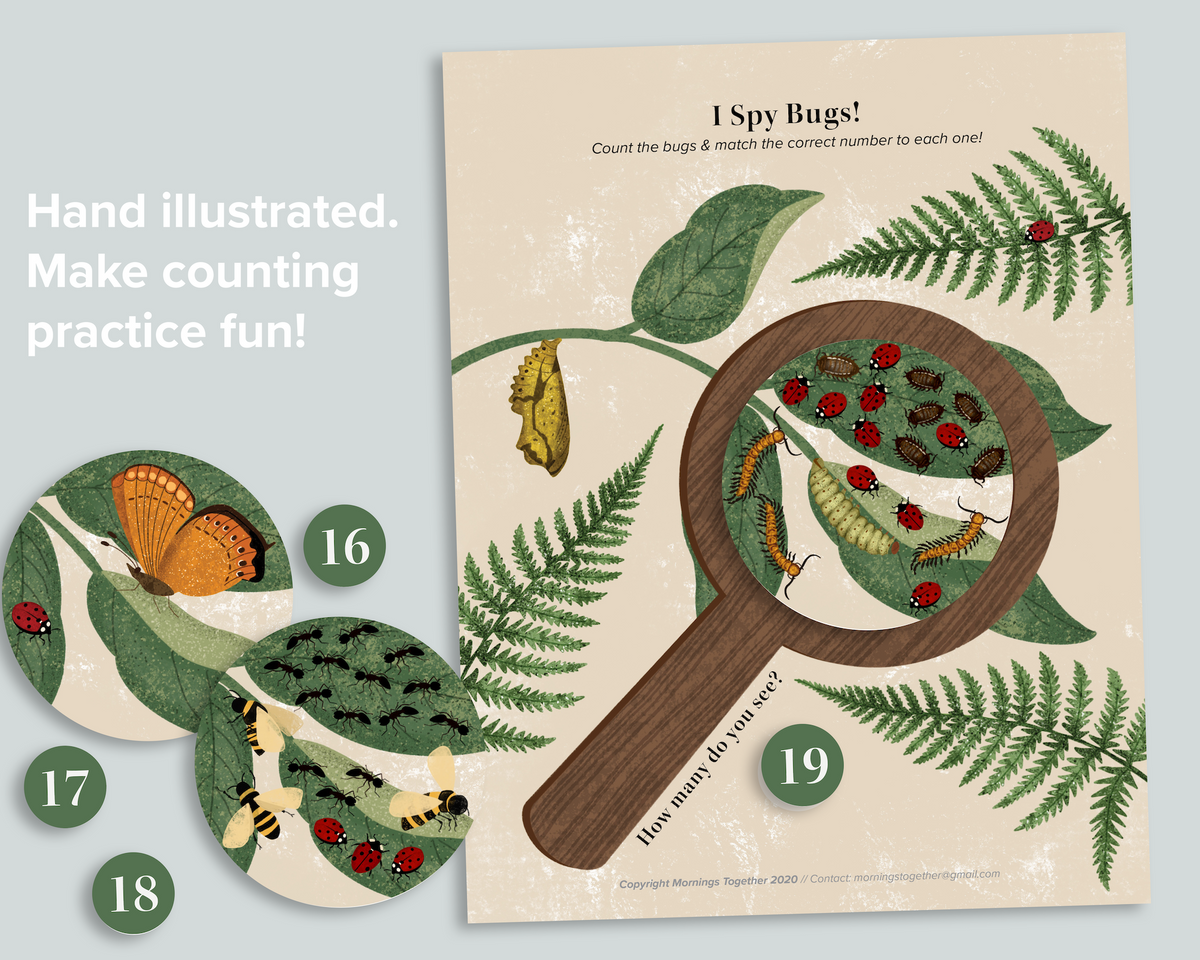 I Spy Bugs! Count and Match Activity – Mornings Together
