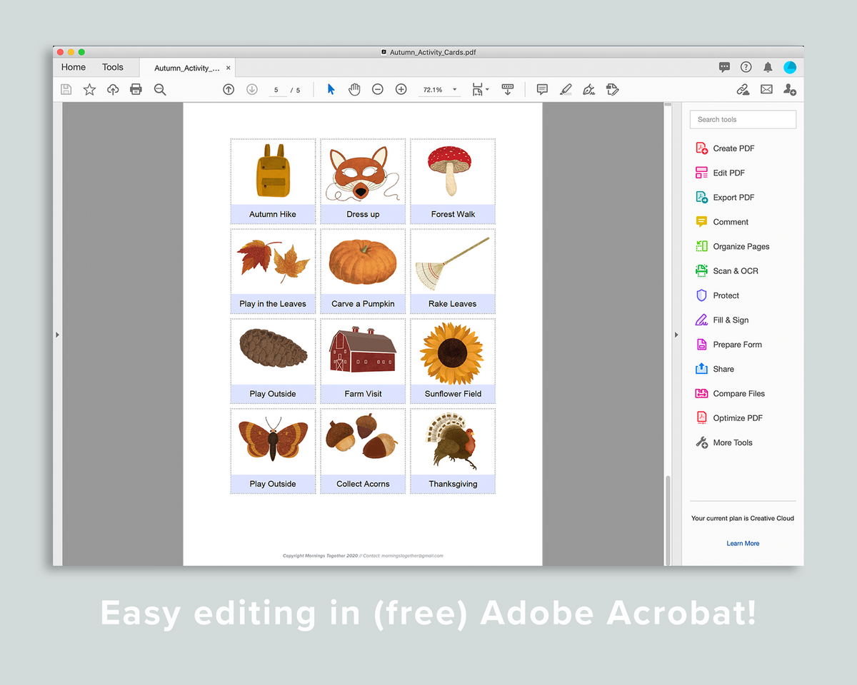 Editable Activity Cards by Season – Mornings Together