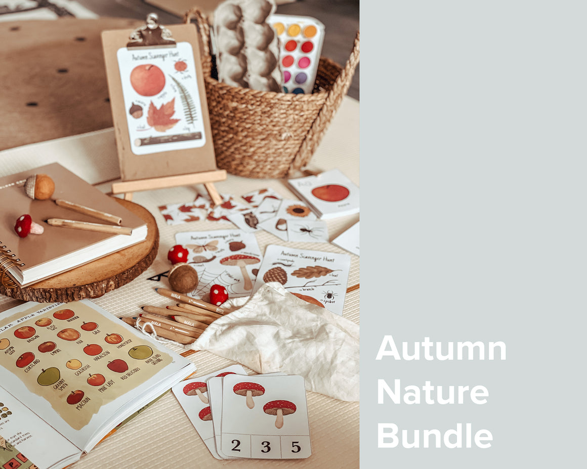 Winter Nature Bundle – Mornings Together