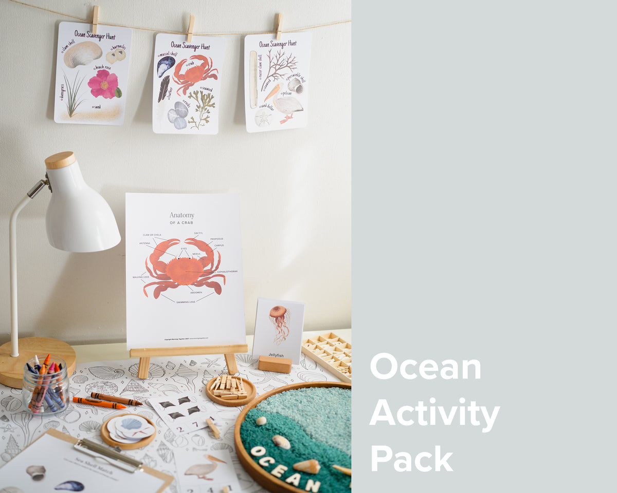 Ocean Activity Pack – Mornings Together