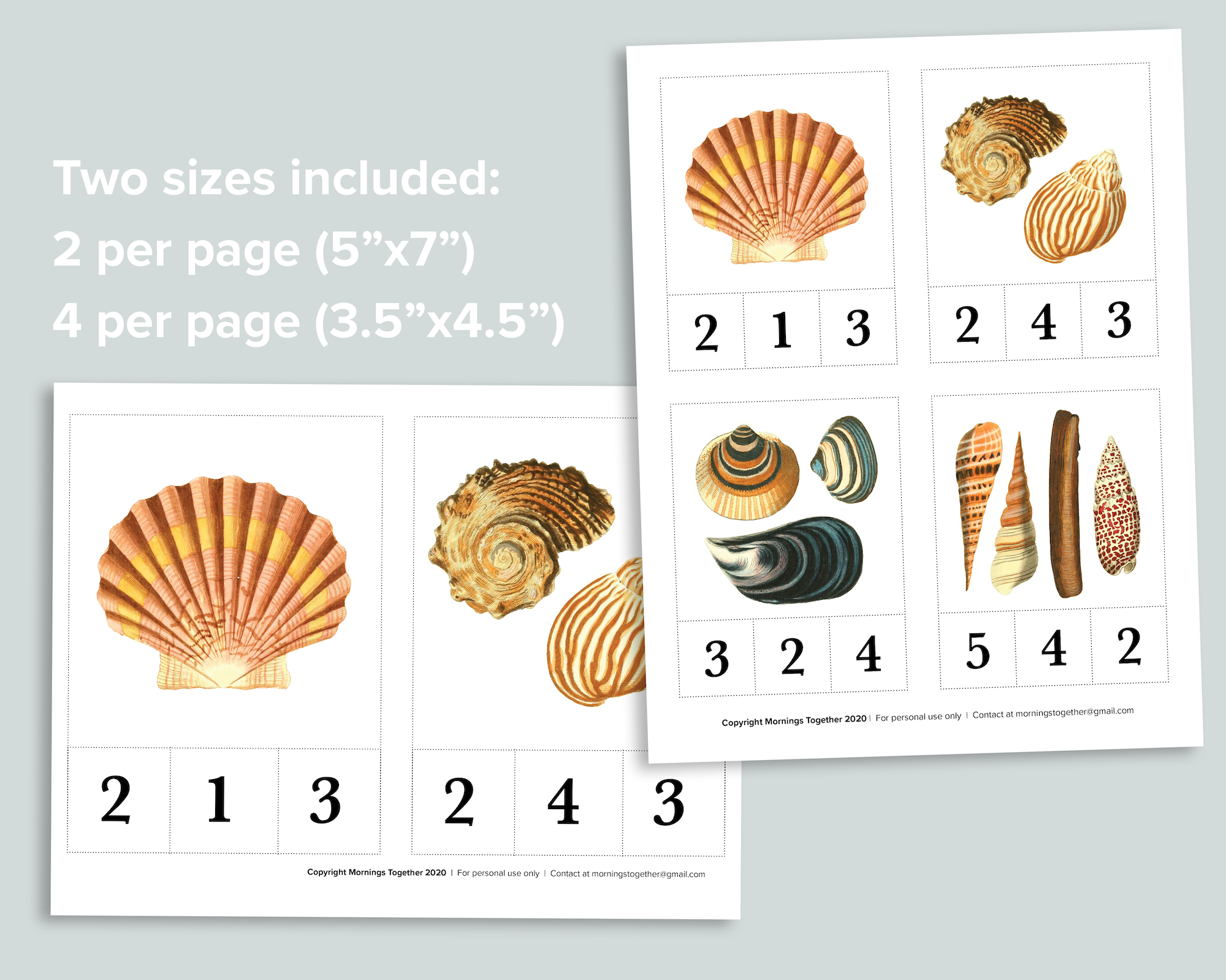 Seashell Mini Bundle – Mornings Together