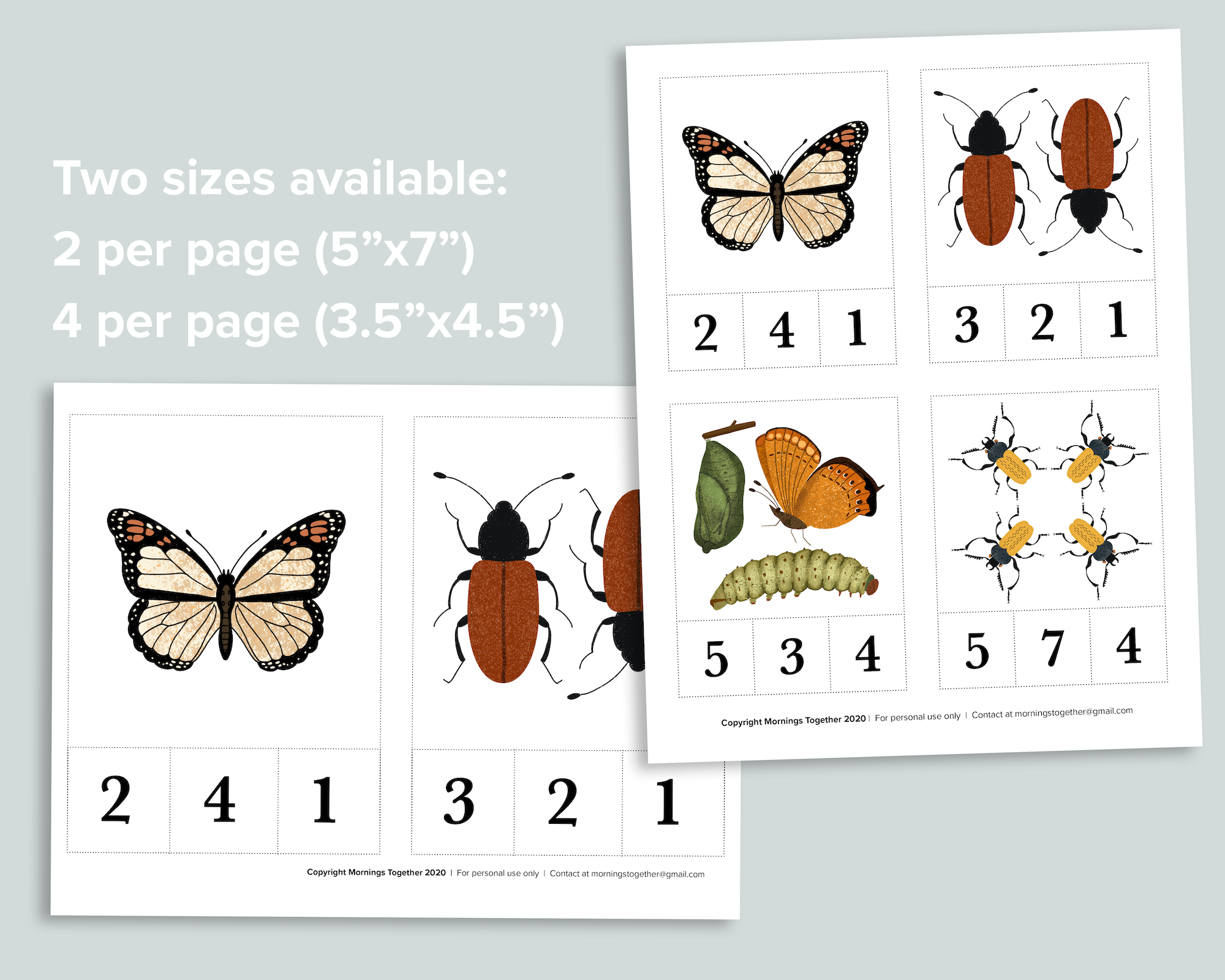 Bugs Count and Clip Cards – Mornings Together