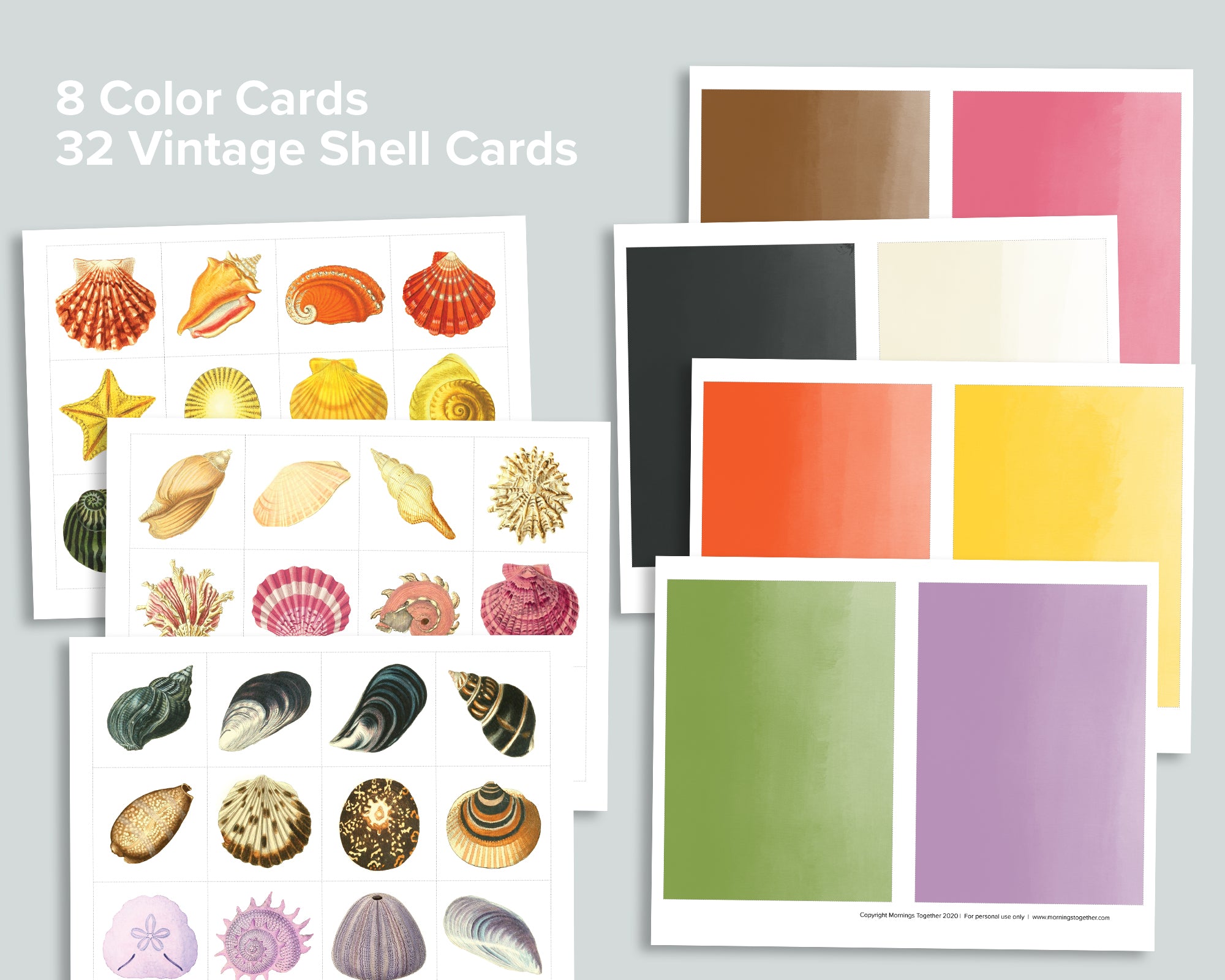 Seashell Mini Bundle – Mornings Together