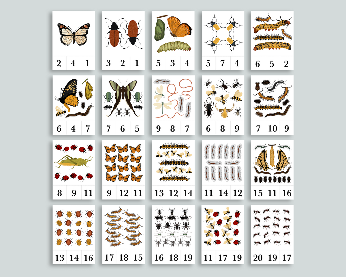 Bugs Count and Clip Cards – Mornings Together