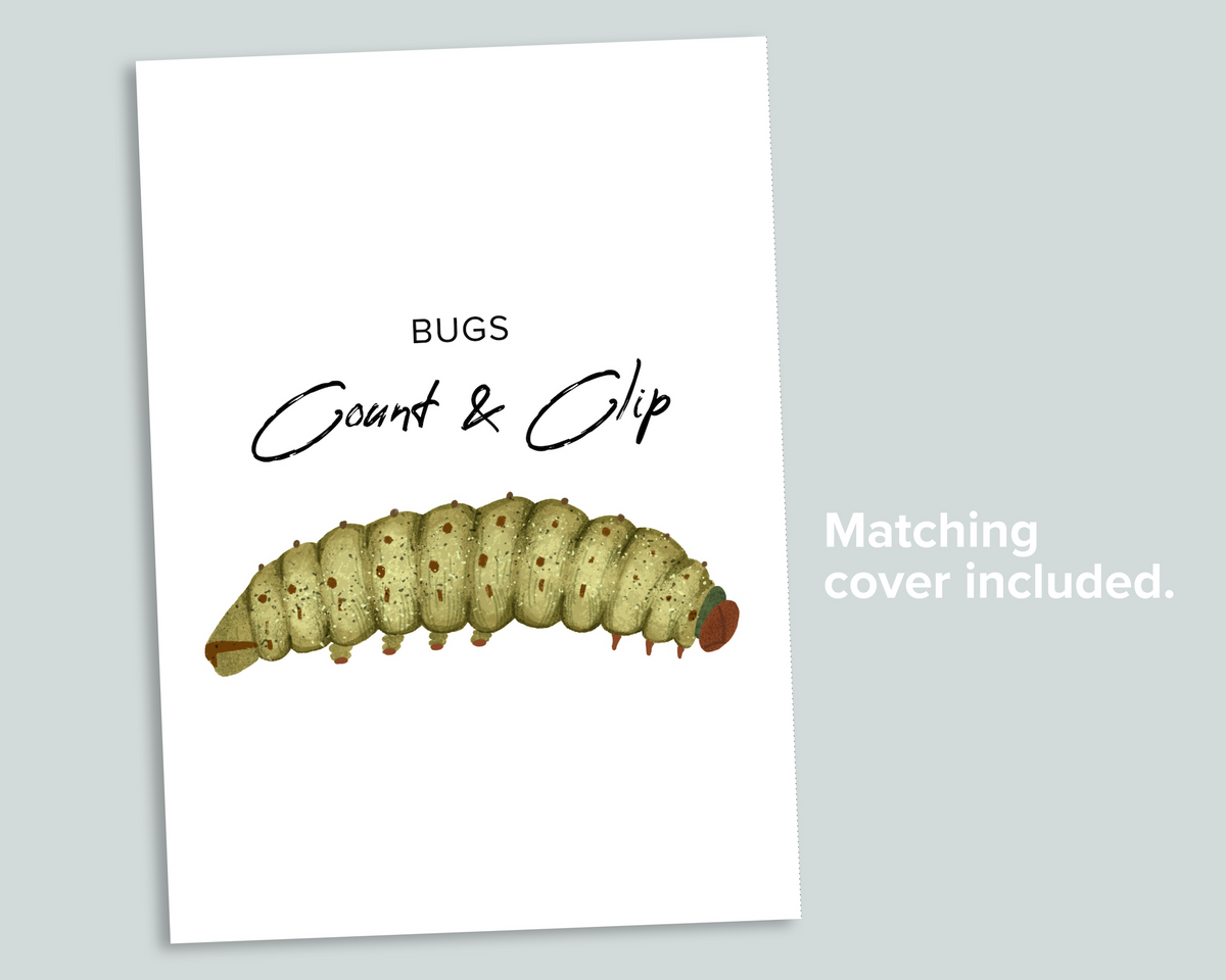 Bugs Count and Clip Cards – Mornings Together