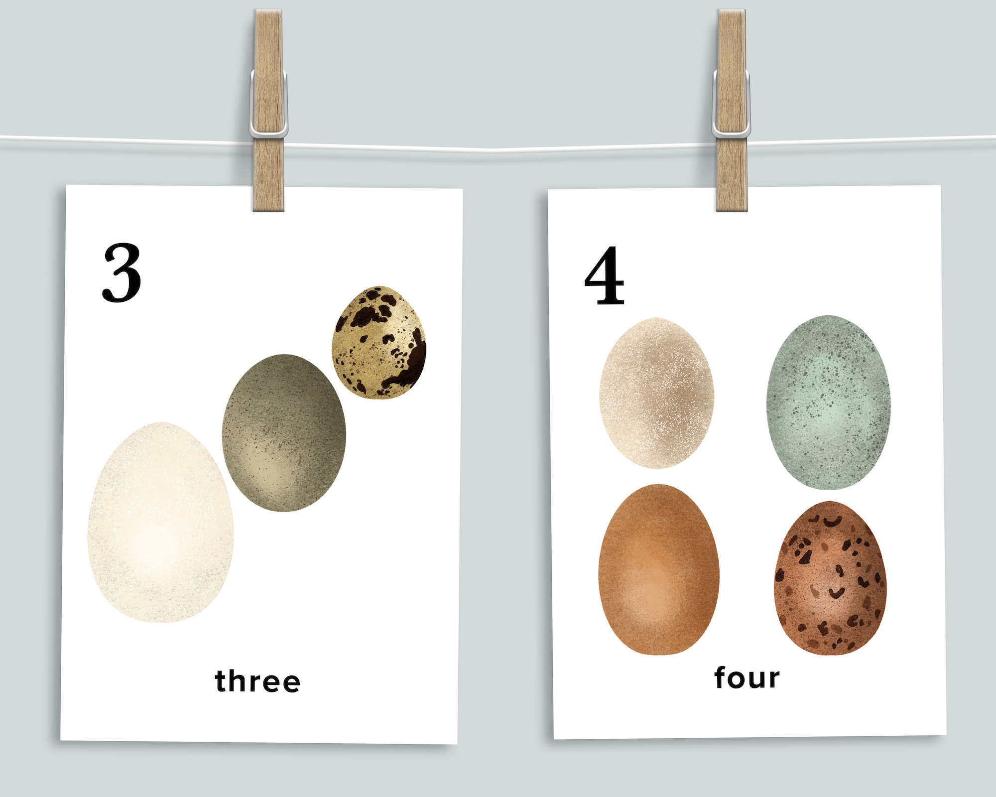 Egg Mini Bundle – Mornings Together