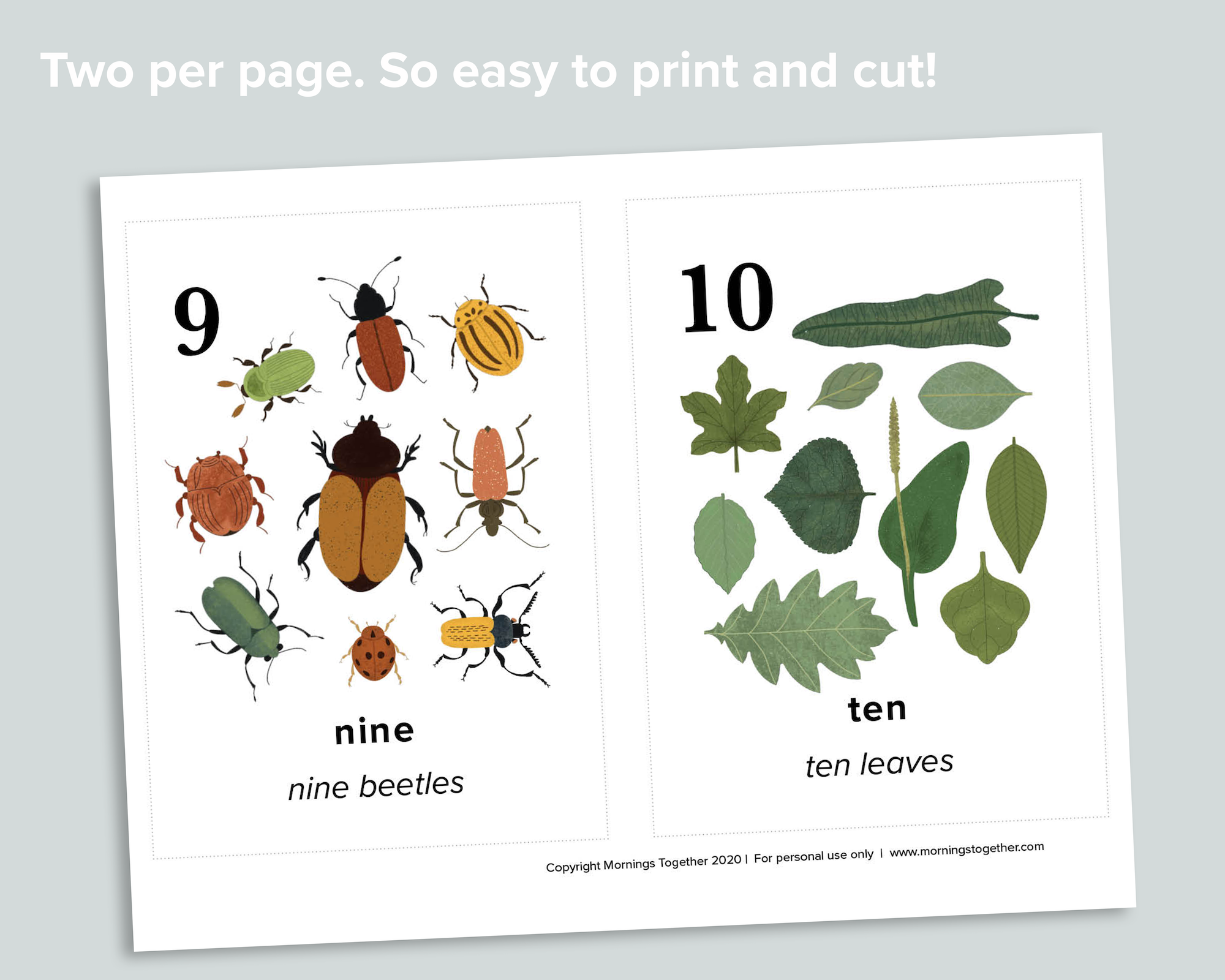Nature Counting Cards – Mornings Together