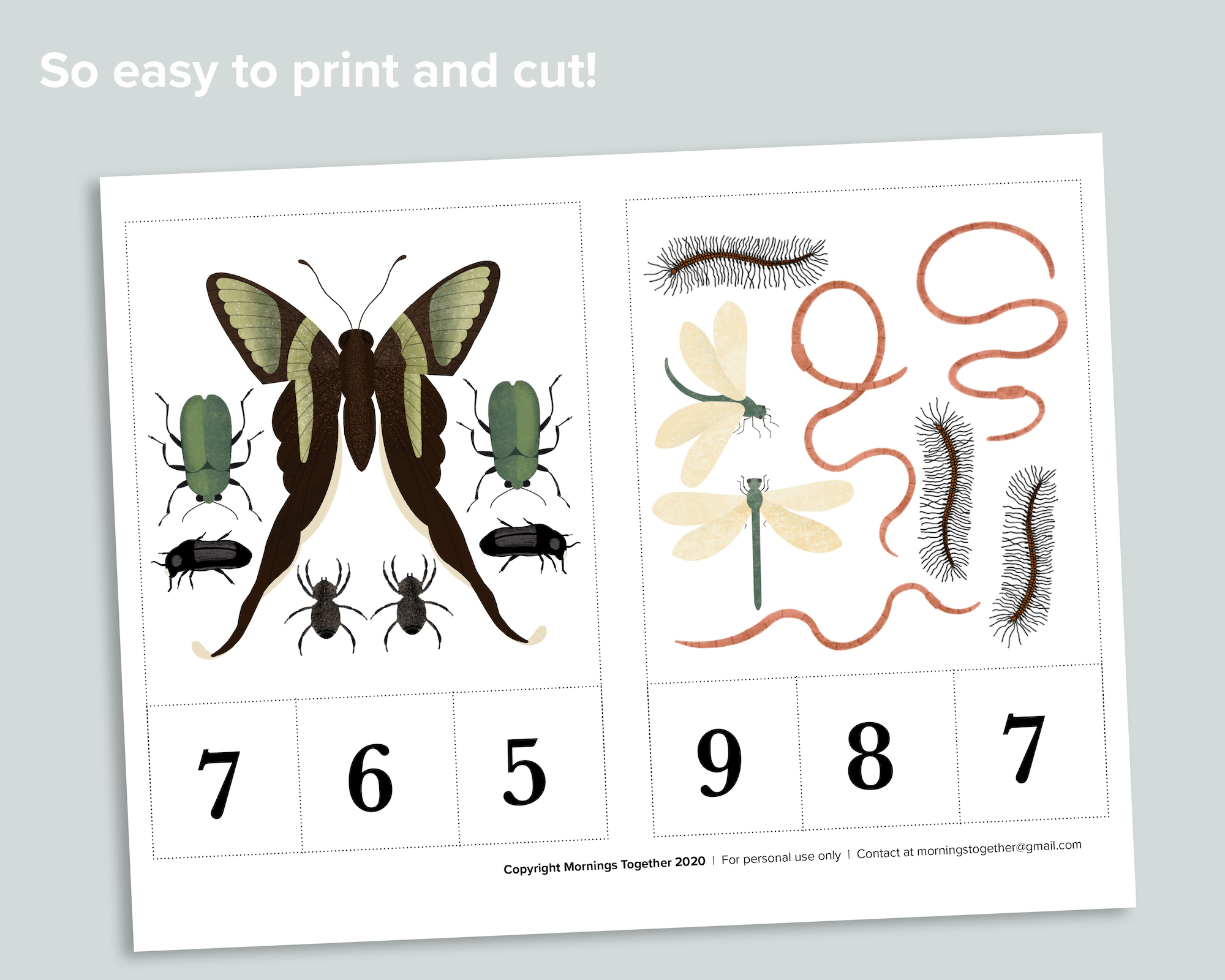 Bugs Count and Clip Cards – Mornings Together