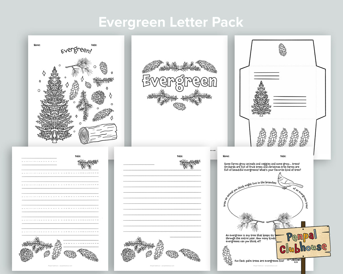 Evergreen Letter Pack – Mornings Together