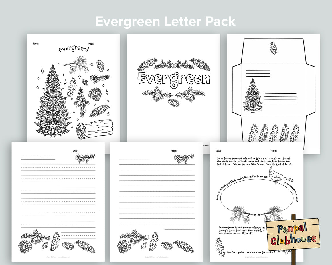 Evergreen Letter Pack – Mornings Together