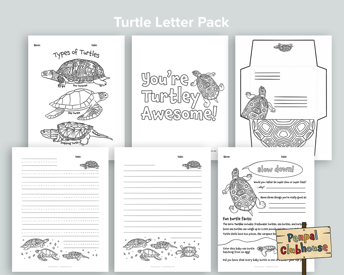 Turtle Letter Pack – Mornings Together