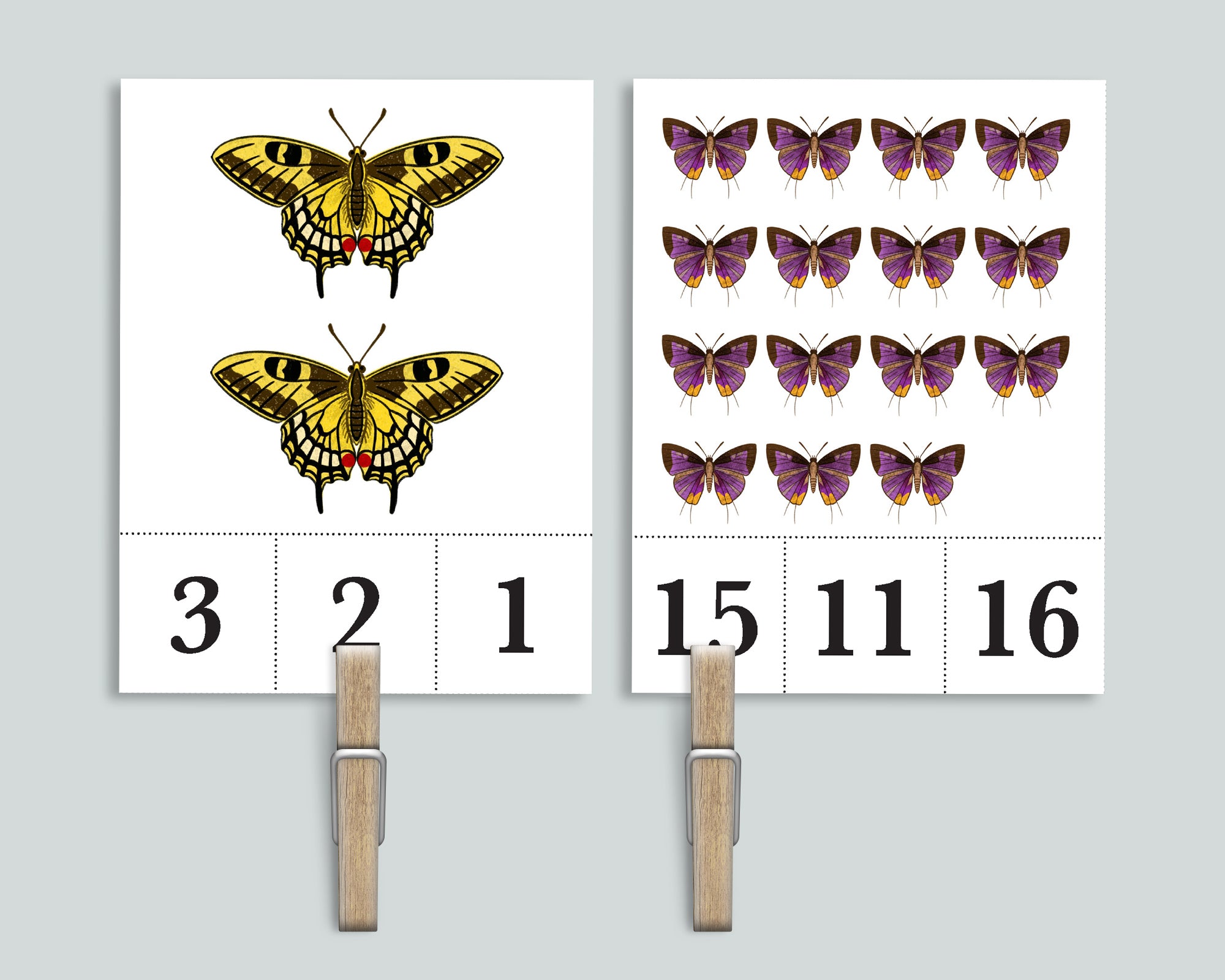 Butterfly Activity Pack – Mornings Together