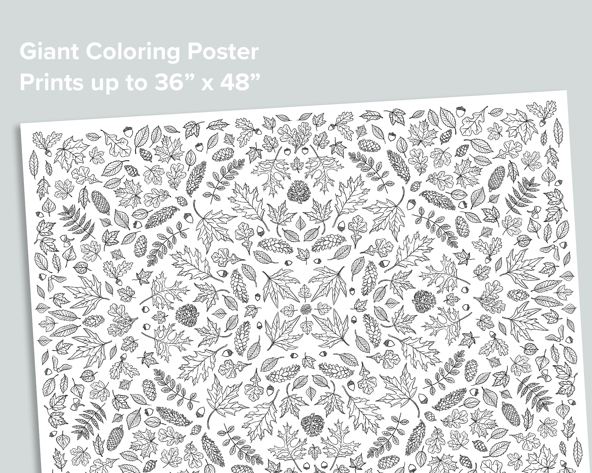 Giant Autumn Coloring Poster – Mornings Together