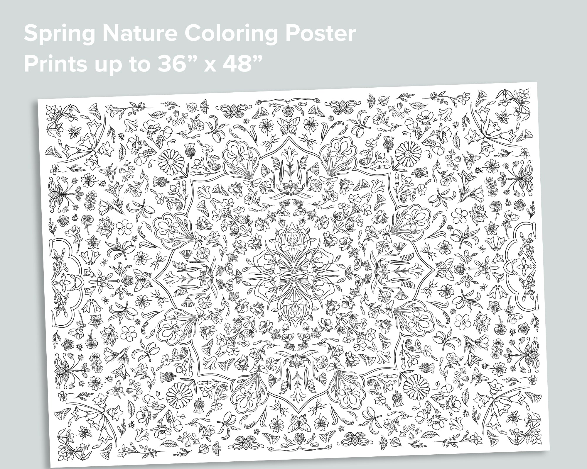 Giant Spring Coloring Poster – Mornings Together