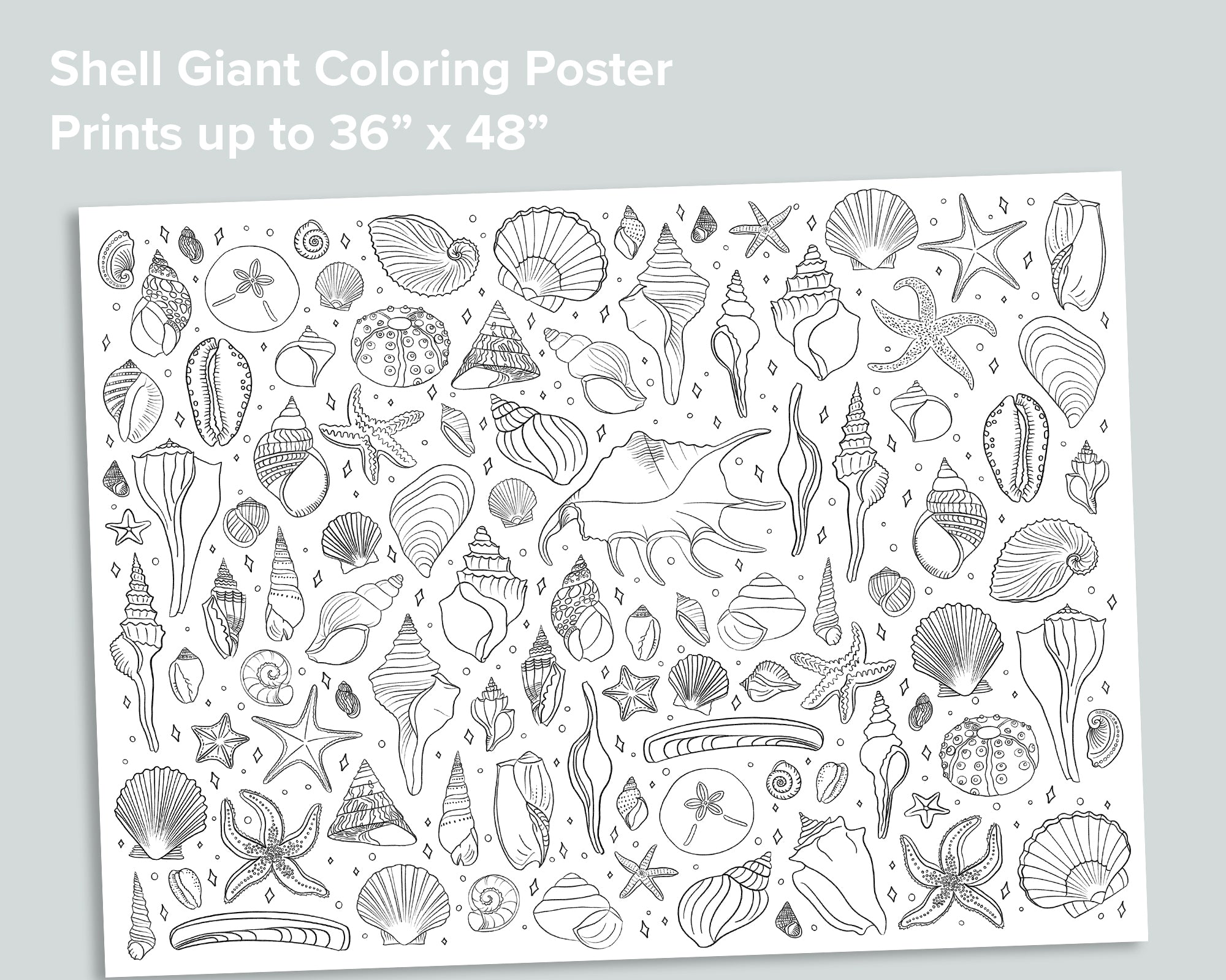 shell coloring pages printable