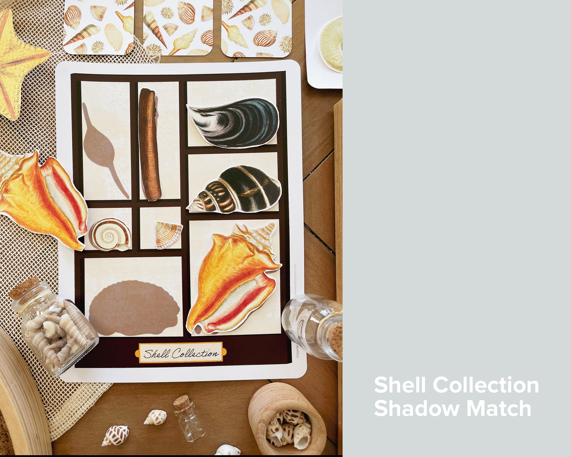 Seashell Mini Bundle – Mornings Together