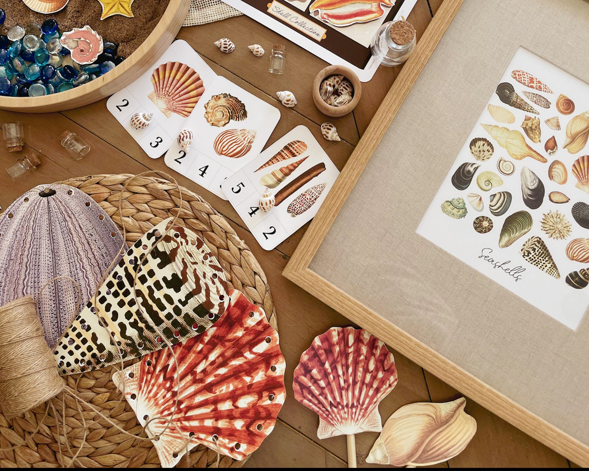 Seashell Mini Bundle – Mornings Together