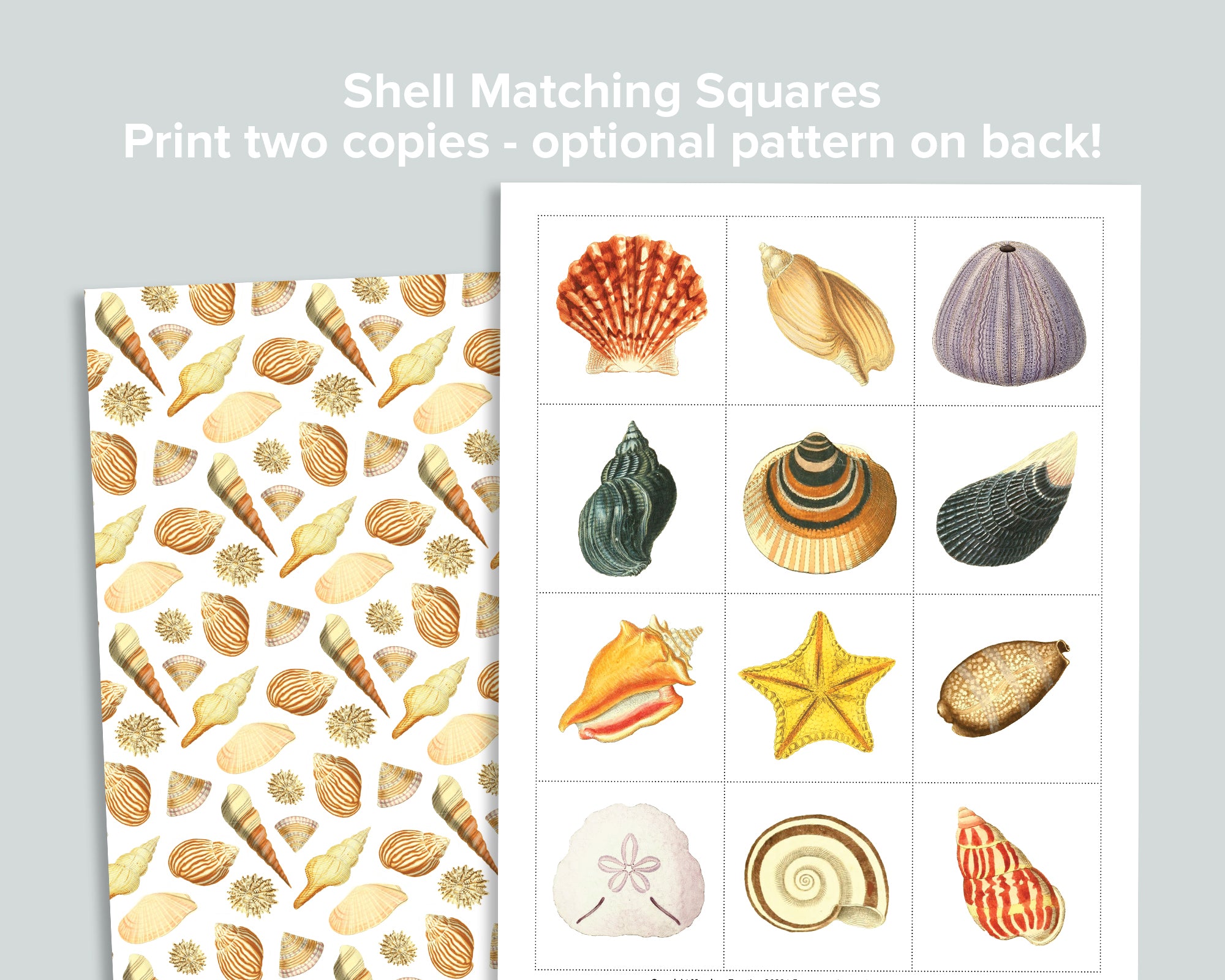 Seashell Mini Bundle – Mornings Together