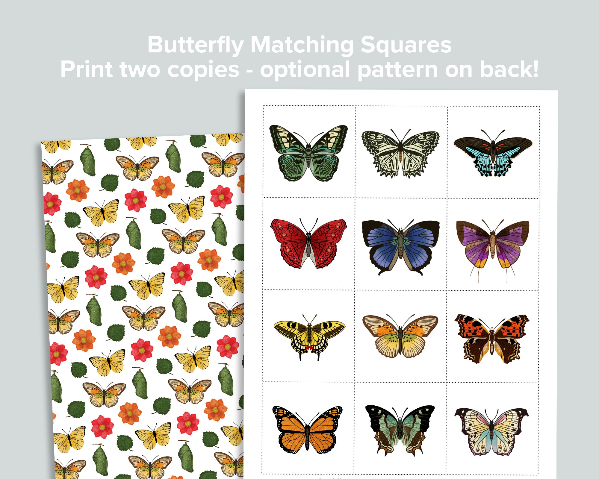 Butterfly Activity Pack – Mornings Together