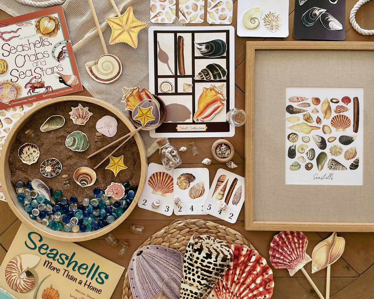 Seashell Mini Bundle – Mornings Together